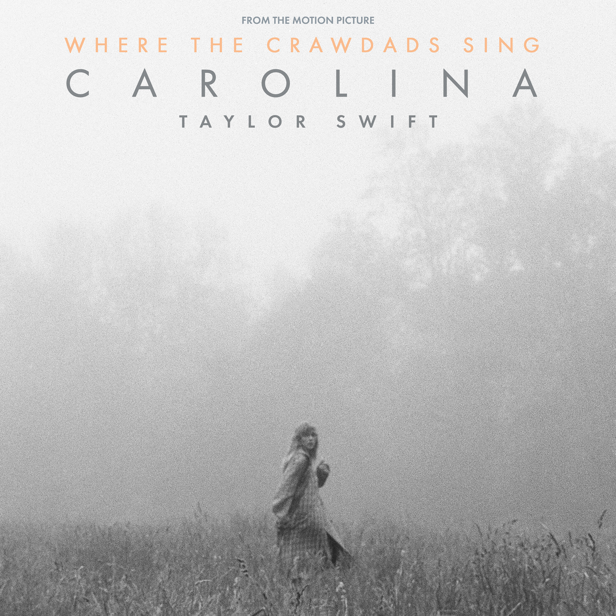 Taylor Swift: esce oggi il singolo “Carolina"...........